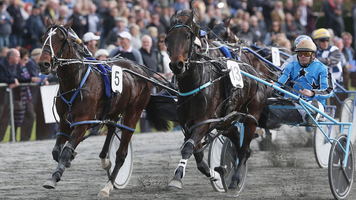 Special TAB Markets Supercharge a Massive Weekend of Harness Racing ...