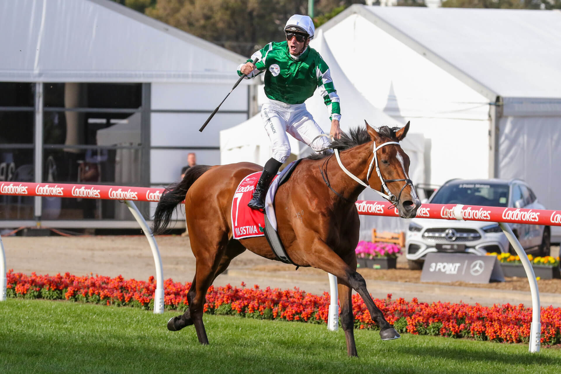Cox Plate Racing Tips & Odds - TAB NZ Punters Lounge