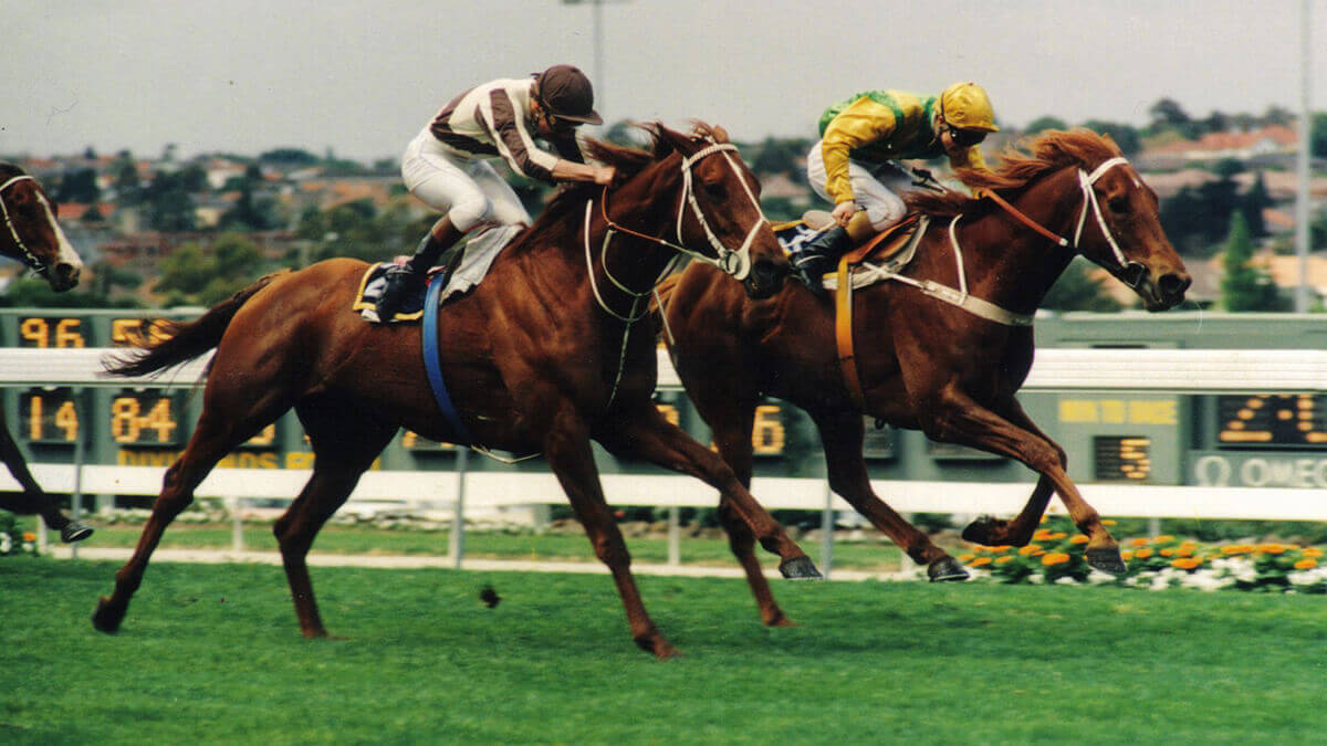 Cox Plate Legends: Bonecrusher - TAB NZ Punters Lounge