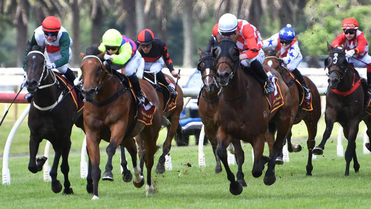 Te Aroha Tips & Preview | Thursday 4 June - TAB NZ Punters Lounge