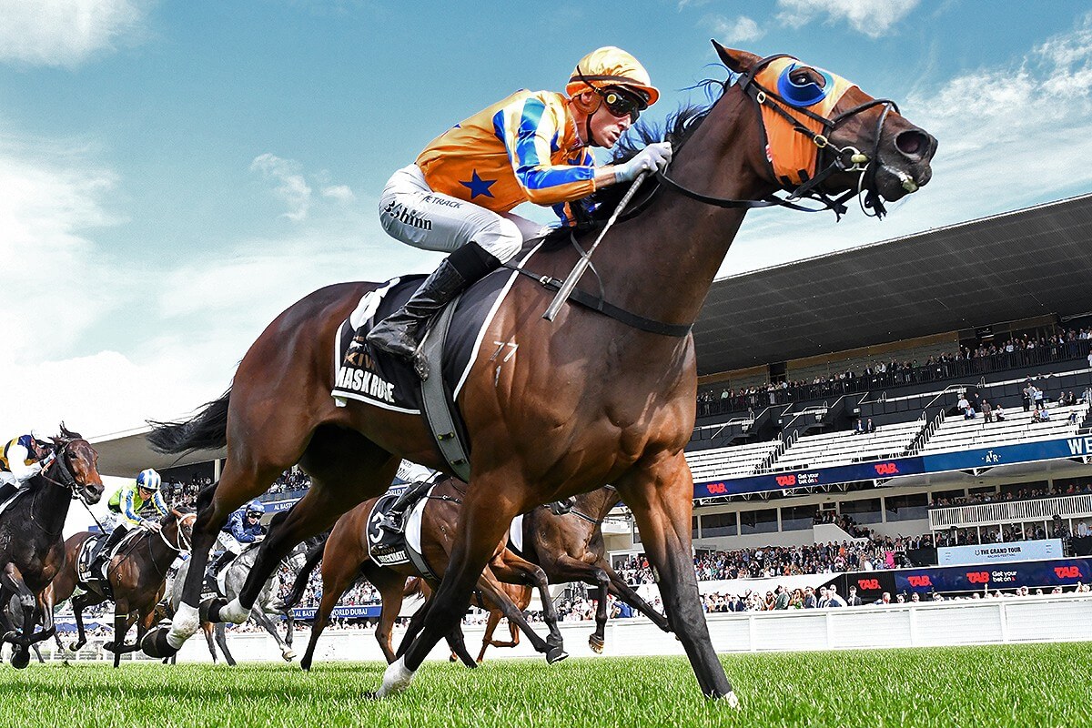 The Kiwi Race Betting Odds & Tips | TAB NZ