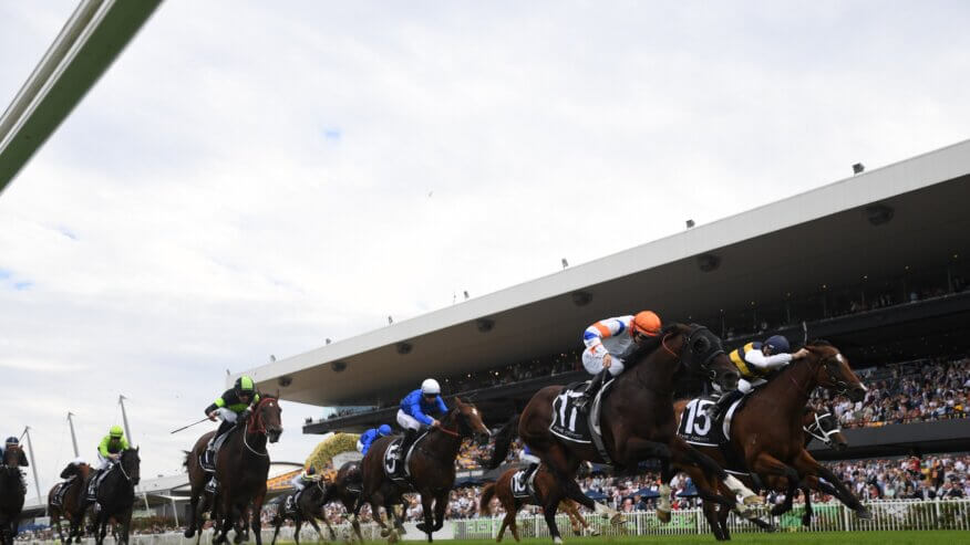 Rosehill Racing Tips & Odds | TAB NZ
